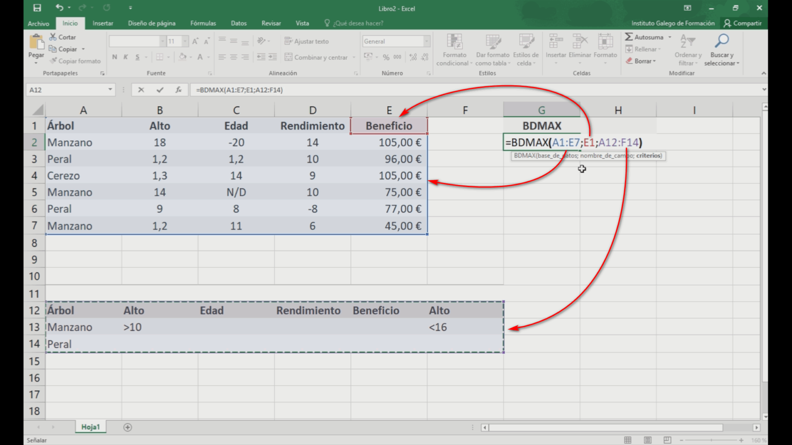 Función BDMAX de Microsoft Excel - IGF - Instituto Galego de Formación