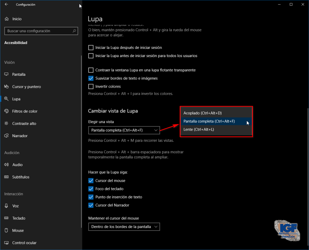 Lupa en Windows 10 - IGF - Instituto Galego de Formación