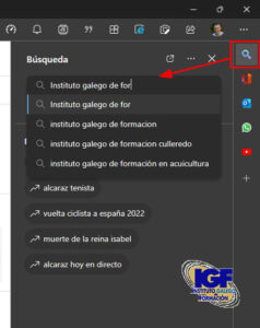 Barra lateral de Microsoft Edge - IGF - Instituto Galego de Formación